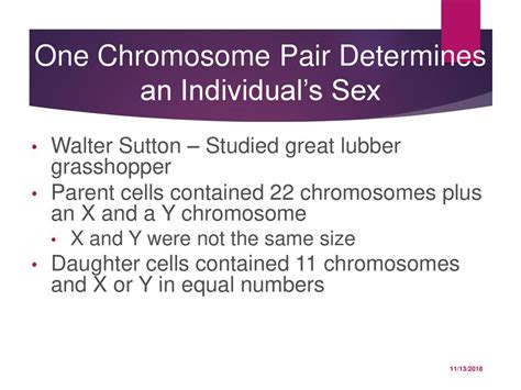 Biology Chapter 8 Section 3 Ppt Download