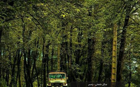 جنگل دالخانی رامسر