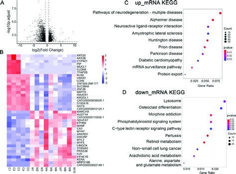 Identification And Analysis Of Degs In Nsm By Microarray A Volcano Download Scientific