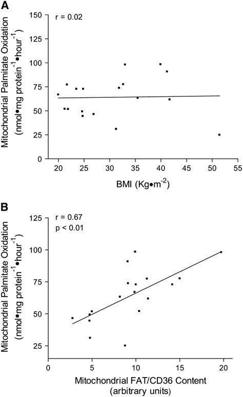 Pearson Correlations N ¼ 18 9 Lean And 9 Obese Individuals A