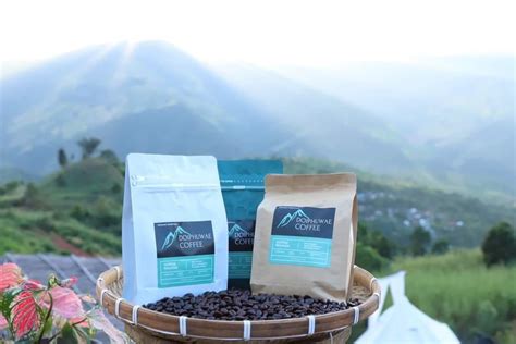 กาแฟดอยภูแว มูลนิธิปิดทองหลังพระ สืบสานแนวพระราชดำริ