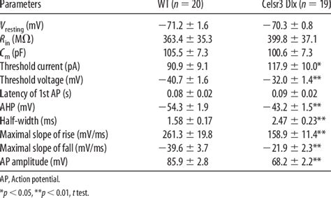 Excitability Of Pyramidal Neurons In Slices Download Table