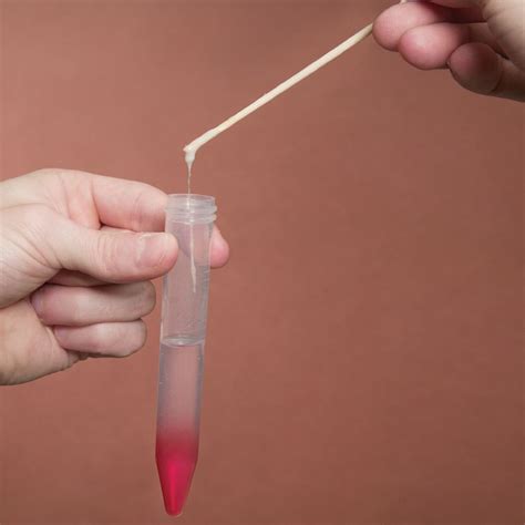 Dnalc Strawberry Dna Extraction Kit Carolina Biological Supply