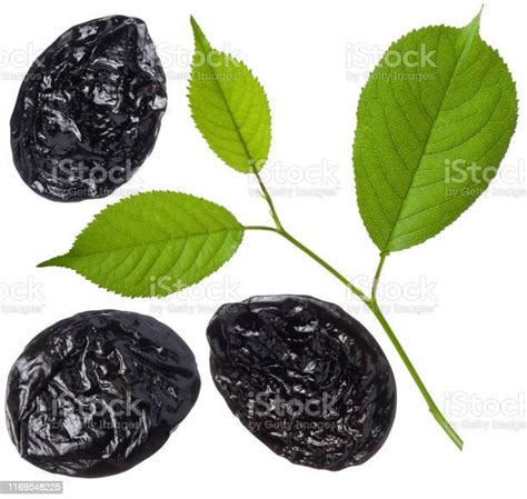 흰색 배경에 고립 된 잎이있는 말린 매화와 녹색 신선한 가지 말린 자두에 대한 스톡 사진 및 기타 이미지 말린 자두 흰색