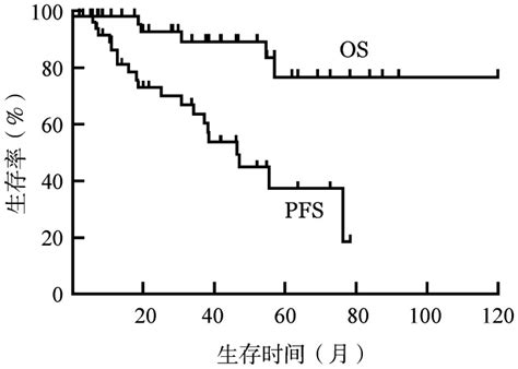 华氏巨球蛋白血症的临床特征及预后：单中心临床数据报道 Pmc