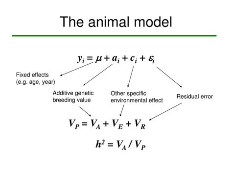 Ppt Molecular Ecology Quantitative Genetic And Genomics Powerpoint