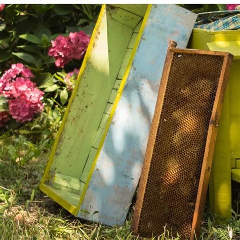 Buying Used Beekeeping Equipment Carolina Honeybees