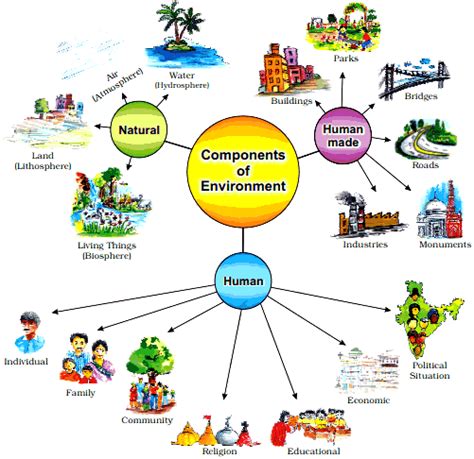 Environment Ncert 7 Class Cbse Social Science Ch 01 Class Notes