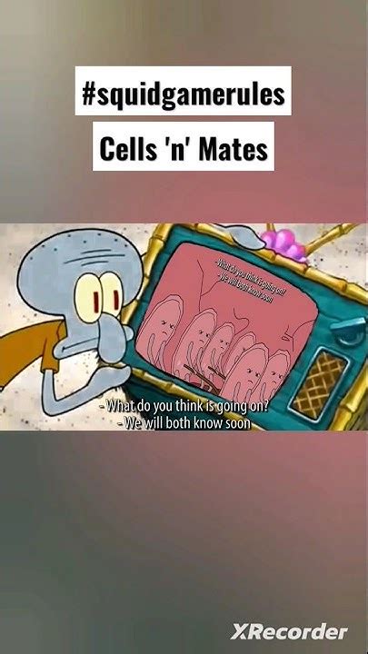 Spongebob Taking Interest In Cells N Mates Animationmeme Animation