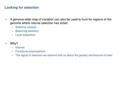 Ppt Signals Of Natural Selection In The Hapmap Project Data The International Hapmap