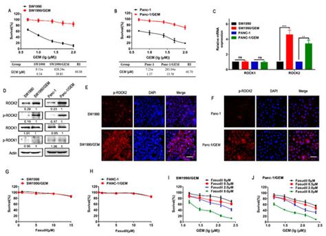 ROCK2 Confers Acquired Gemcitabine Resistance In Pancreatic Cancer