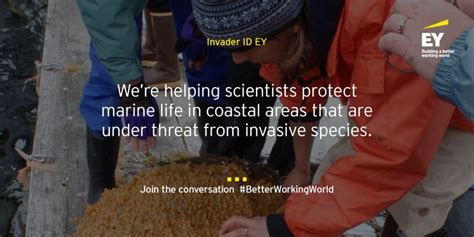 Vidyashree Tamilmaran On Linkedin Eyripples Betterworkingworld