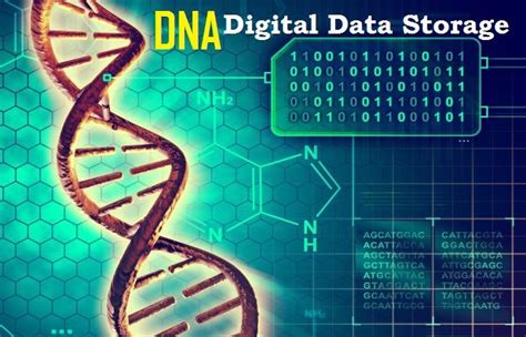 what is dna data storage and how dna digital data storage works data storage digital data dna