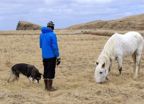 Figure 3 From Performance Comparison Of Real Time Object Detection