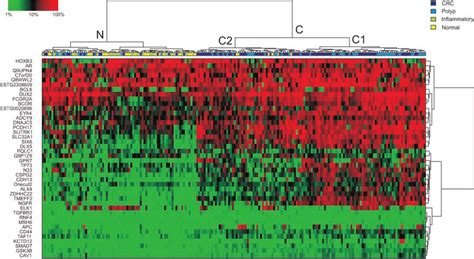 hierarchical clustering of all 204 colon derived tissue samples in the