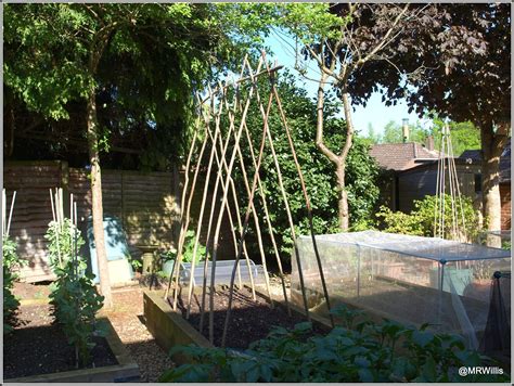 Mark S Veg Plot Planting Beans