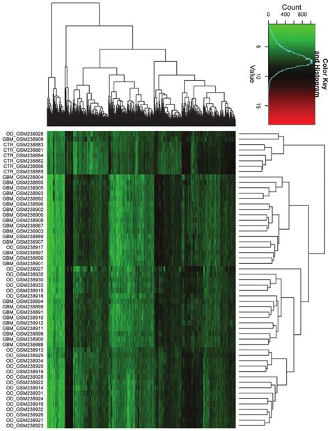 hierarchical cluster analysis of 982 differentially expressed genes by