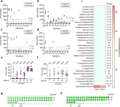 Clinical Validation Of Engineered Crispr Cas12a For Rapid Sars Cov 2 Detection Pmc