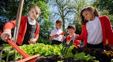 Your Fund Surrey Small Community Projects Funding Limpsfield Surrey