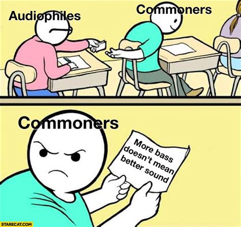 audiophiles vs commoners more bass doesn t mean better sound
