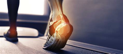 Why Joints Are So Important Pushpclinic