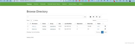 【hadoop】hadoop 3 3 4 集群安装及简单使用 hadoop3 3 4集群搭建 csdn博客