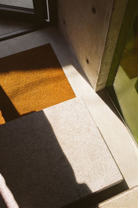 The Best Rugs For Floor Sex Maude