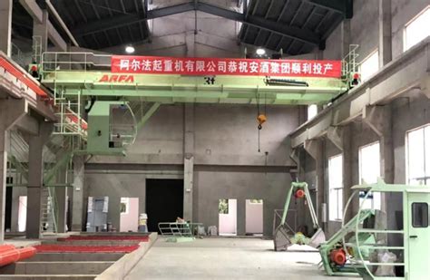 行业案例 阿尔法起重机有限公司