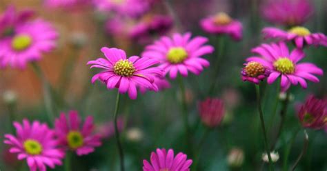 Гороскоп для всіх знаків зодіаку на тиждень — поради 21 27 липня 2025 року від астрологині