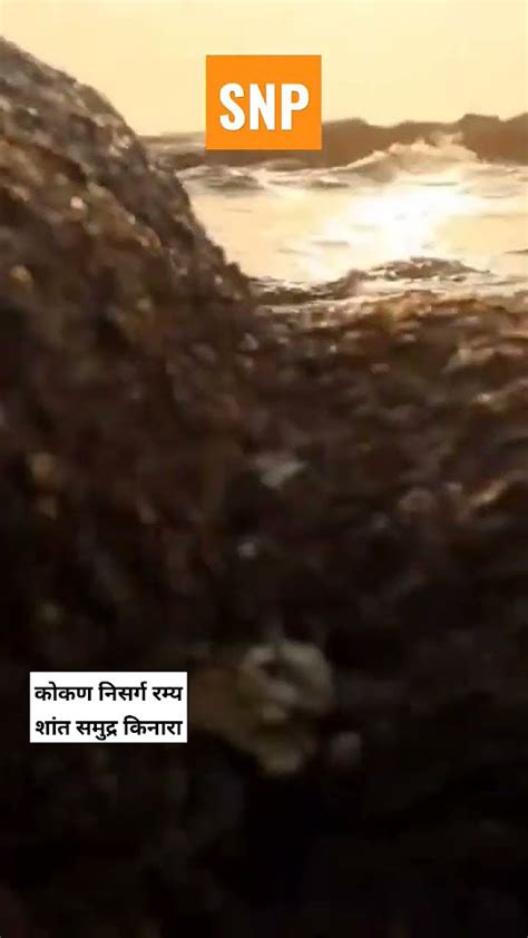 कोकण 🌴🥰 समुद्र किनारा नयनरम्य Kokan Ytshorts Viral Yt Shorts Youtube