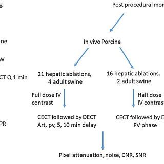 Study Flow Diagram Demonstrating Intraprocedural And Post Procedural Download Scientific