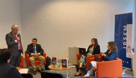 Irena Chiru On Linkedin Disinformation National