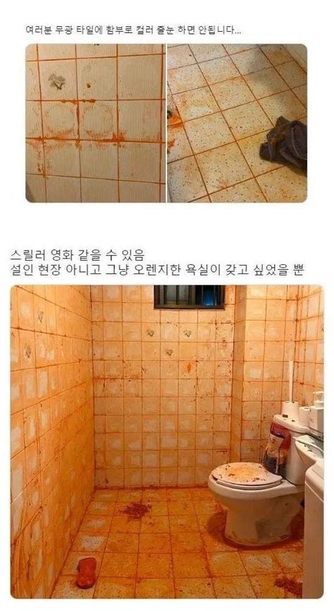 욕실 셀프 인테리어 했다가 대참사 남 Funny Laugh