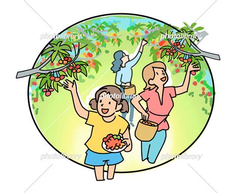 さくらんぼ狩り イラスト素材 7137932 フォトライブラリー photolibrary