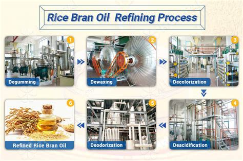 What Is The Rice Bran Oil Refining Process
