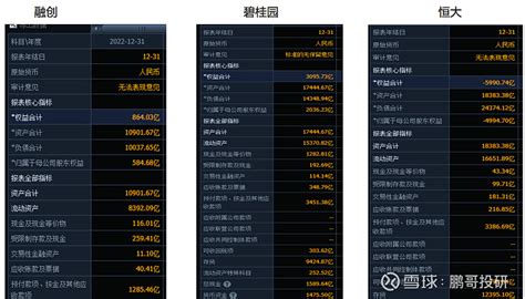 恒大 债务规模24万亿，资产规模18万亿； 碧桂园 债务规模14万亿，资产规模17万亿， 融创 债务规模1万亿， 雪球