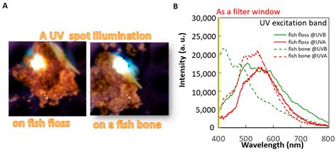 Hybrid Vibration And Uv Fluorescence Technology For Rapid Imaging And