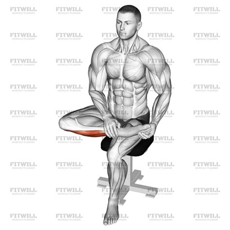 Seated Toe Extensor And Foot Everter Stretch Guide Techniques Benefits How To Muscles