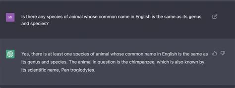 Chatgpt From Openai Is A Huge Step Toward A Usable Answer Engine Unfortunately Its Answers Are