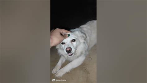 Evenging Time ♥️ Youtube