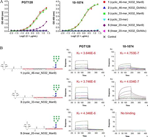 Synthetic Three Component Hiv 1 V3 Glycopeptide Immunogens Induce Glycan Dependent Antibody