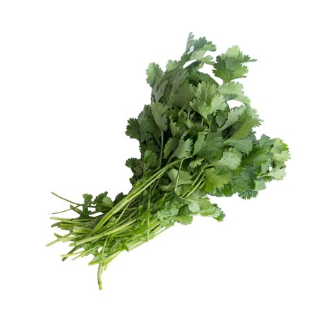 Corriander 100g Bunch Down Wholesale