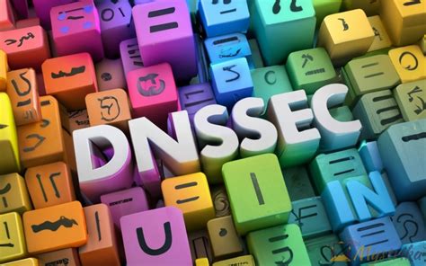 The Complete Guide To Domain Name Security And DNSSEC In 2023