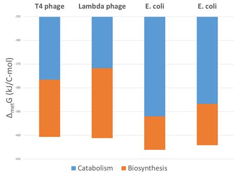 Thermodynamics Of Bacteria Phage Interactions T4 And Lambda