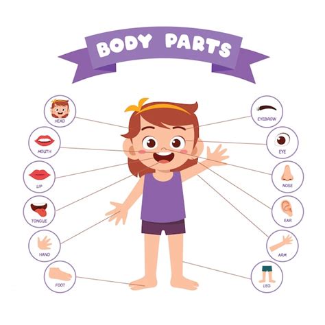 Feliz lindo niño niña cuerpo parte anatomía Vector Premium