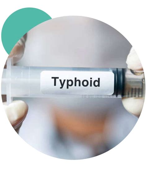 Typhoid Bali Symptoms Diagnosis Treatment And Prevention