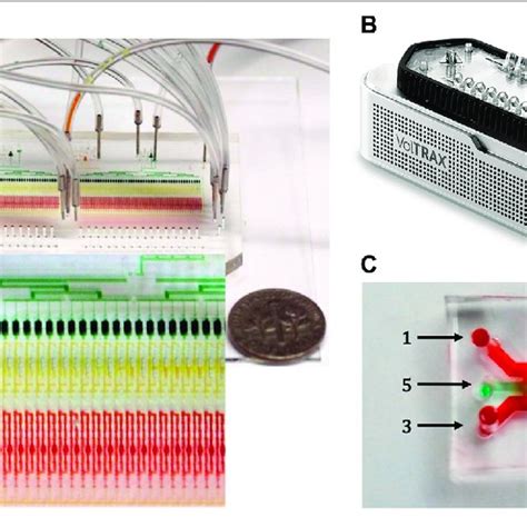 Pdf Miniaturized Dna Sequencers For Personal Use Unreachable Dreams