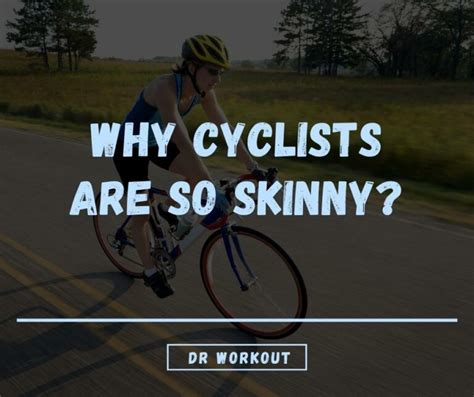 Guide To Macrocycle Mesocycle And Microcycle Detailed Examples For Effective Training