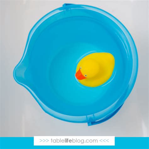 Sink Or Float A Science Experiment For Babe Learners Table Life Blog