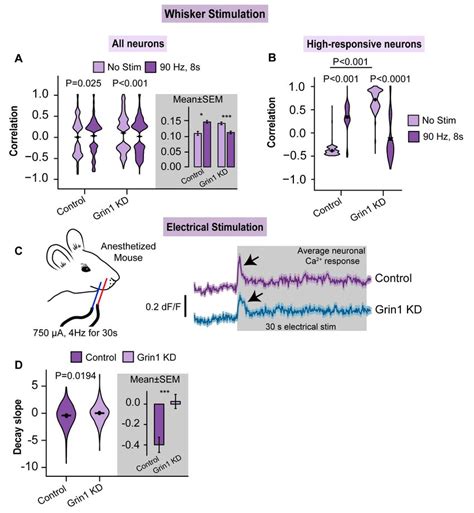 alterations in neuronal synchronization and adaptation a neuronal